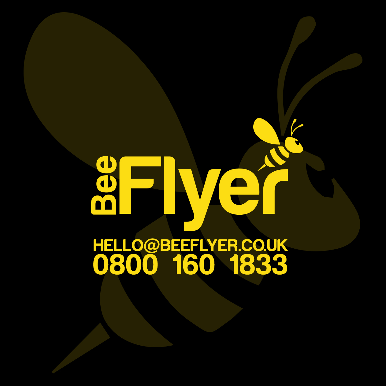 Bee Flyer Leaflet Distribution & Direct Marketing, Derry LondonDerry ...